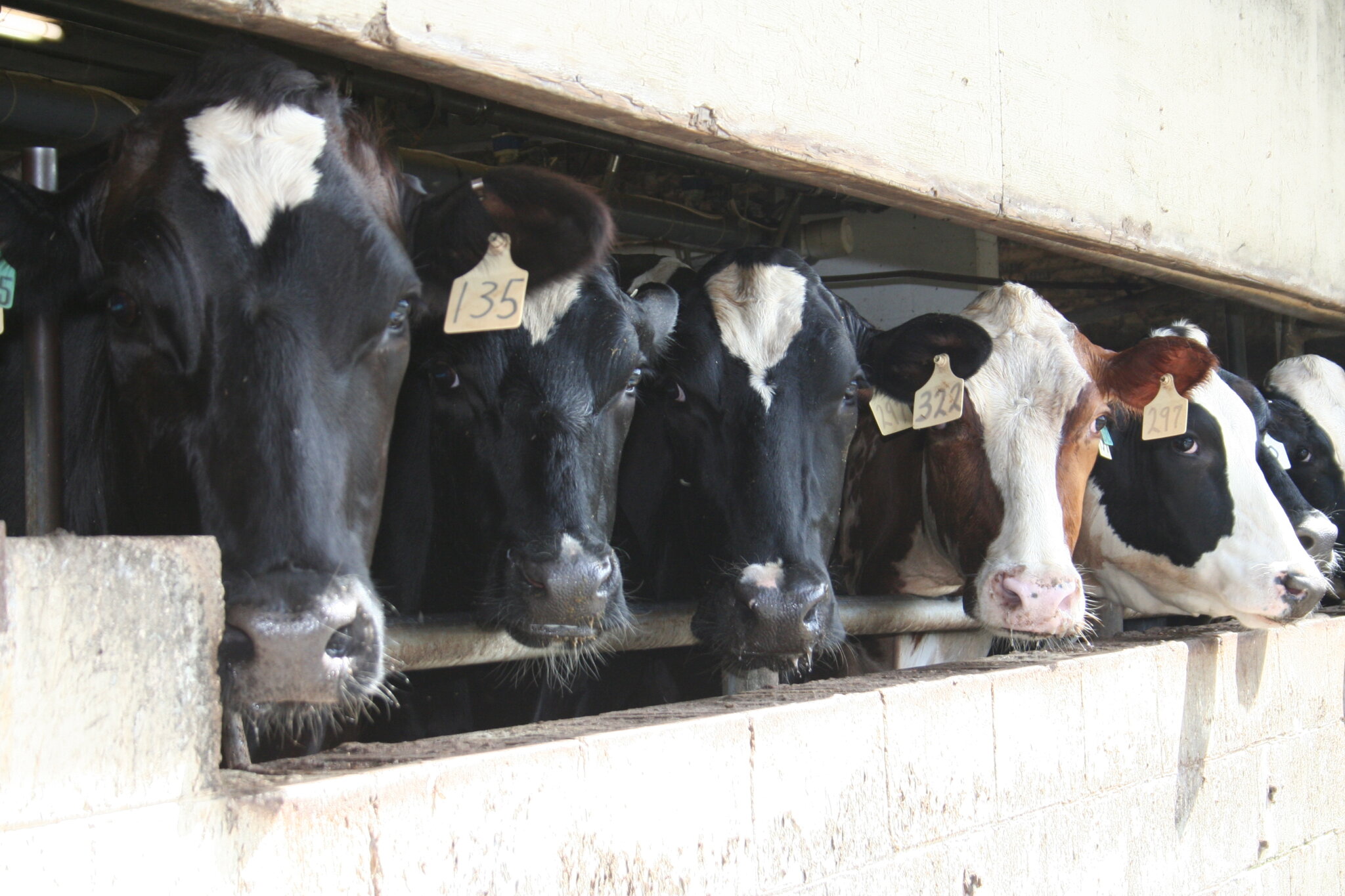 FFBF Continues to Monitor HPAI Outbreak - Florida Farm Bureau