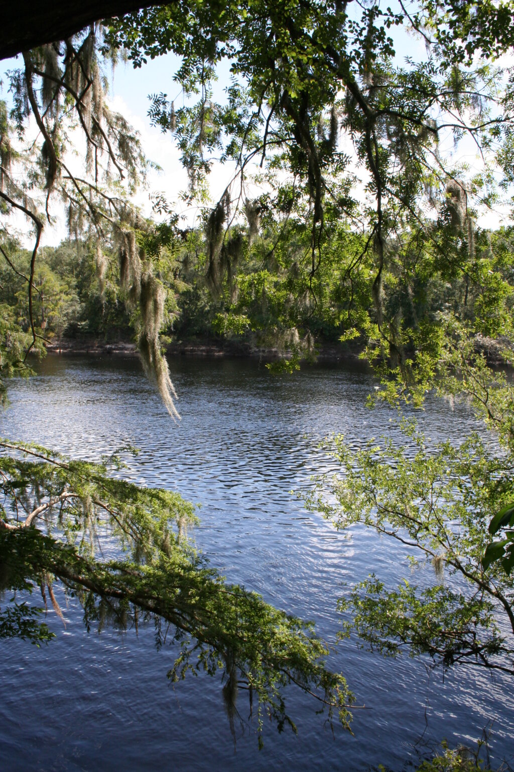 Florida Farm Bureau Submits Letter for the S2G RCPP Project - Florida ...