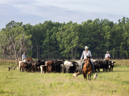 Young Farmers & Ranchers Leadership Conference - Florida Farm Bureau